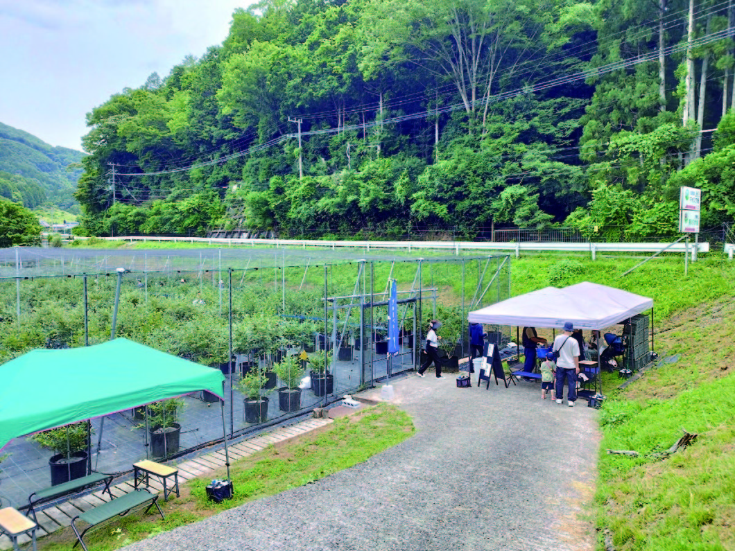 里山ブルーベリー農園Wacca｜沿線スポット情報｜おでかけ・沿線情報｜のせでん【能勢電鉄】